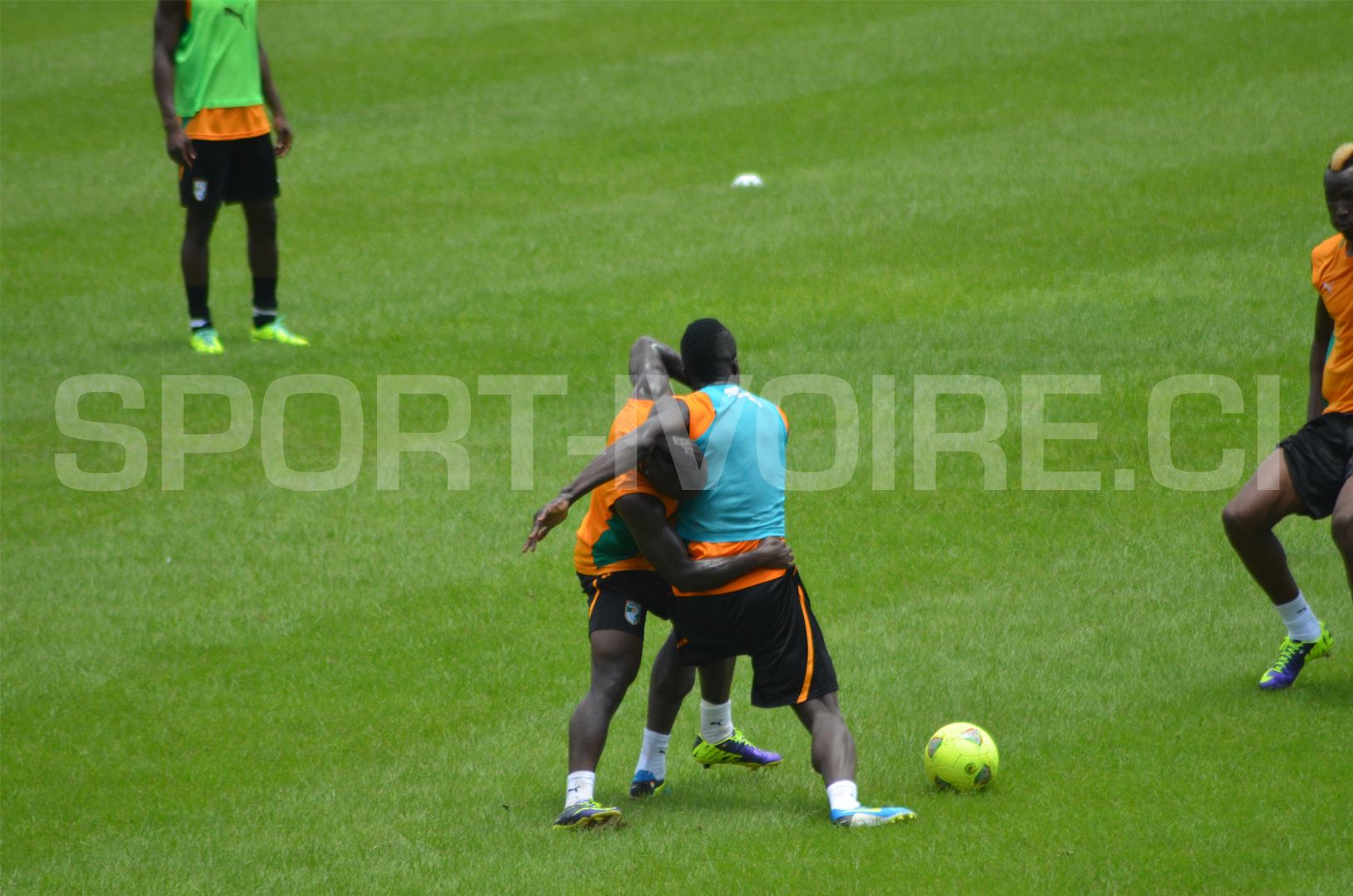 Côte d'Ivoire: Léger accrochage entre Arthur Boka et Cheikh Tioté ...