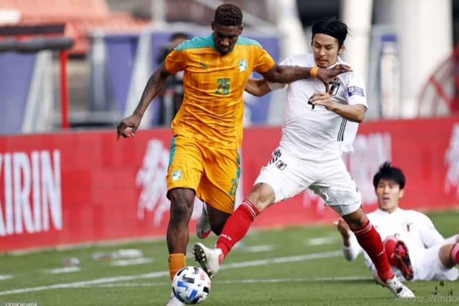 Côte d'Ivoire : Juma Saeed renvoie un Eléphant à la maison - Africa Top ...