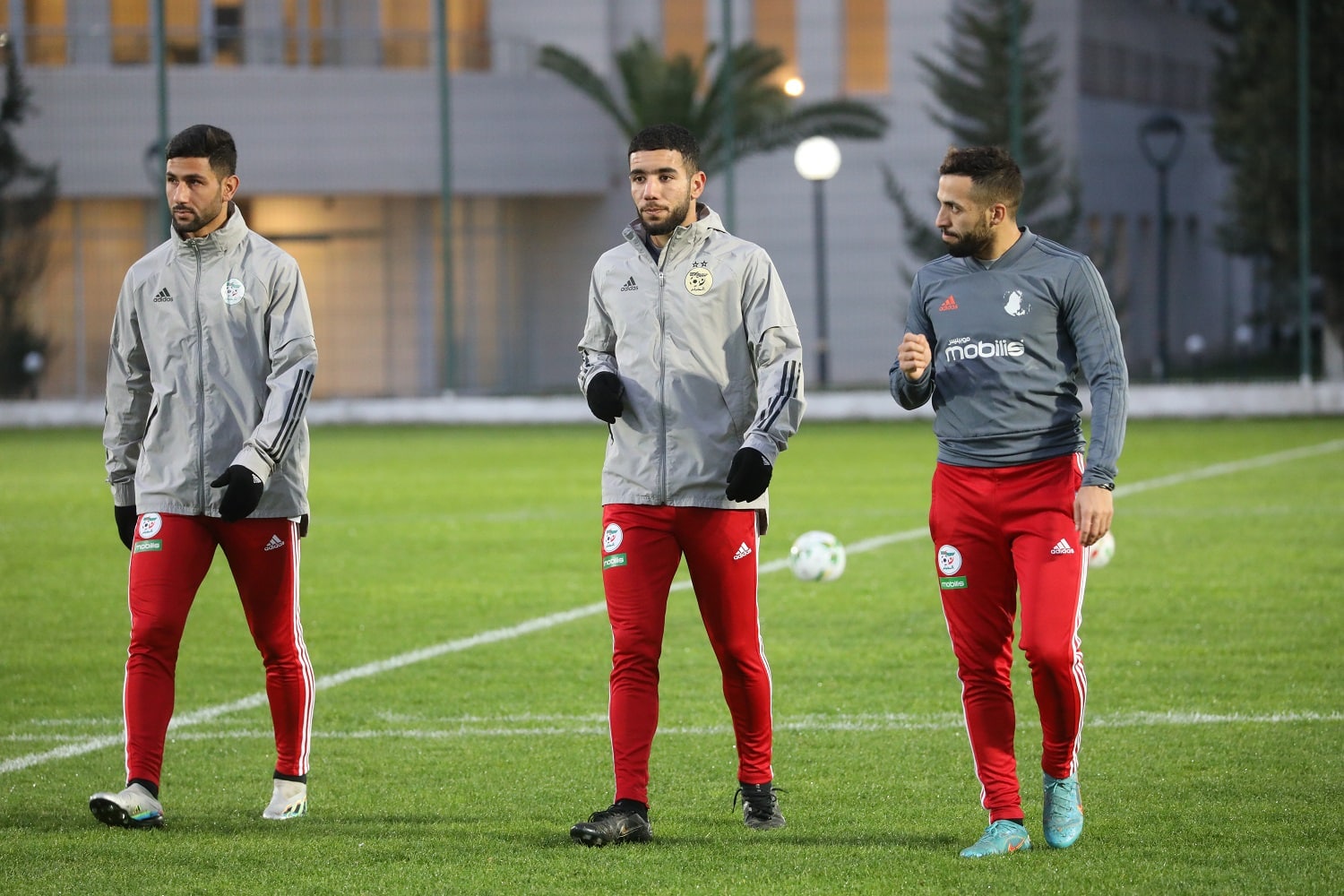 CHAN2022- Algérie : Les verts se préparent pour la Côte d'ivoire ...